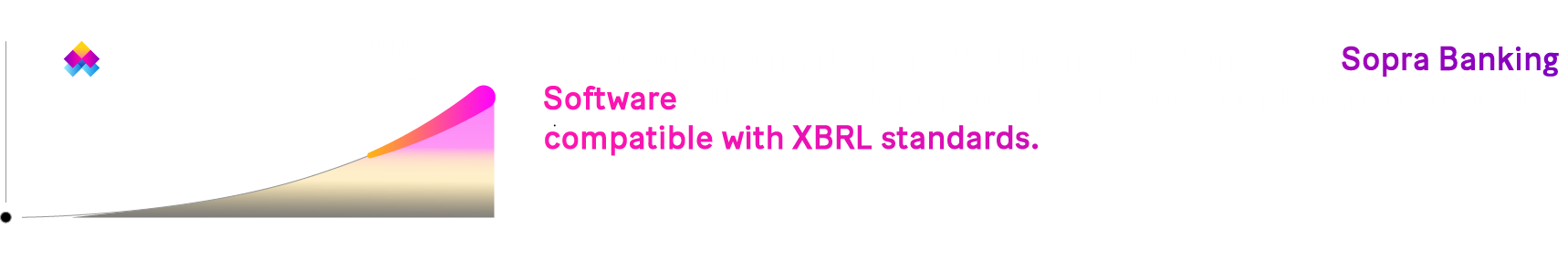 The future of XBRL and digital reporting - SBS | Banking & Financing ...